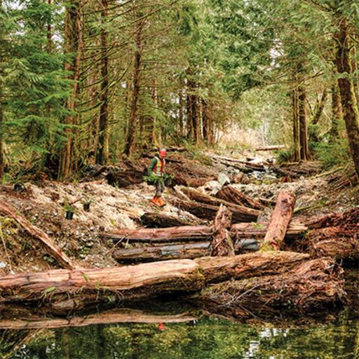 India and the Contemporary World 1 - Chapter 4 - Forest Society and ...